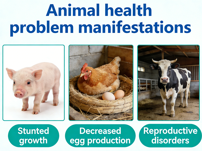 Is It Necessary for Animals To Supplement with Cholecalciferol (vitamin ...