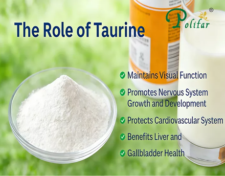 What Are The Effects of Taurine Deficiency in Humans